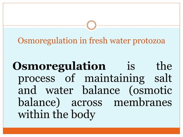 Osmoregulation in fresh water protozoa - Shampa Jain | PPT