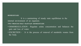 OSMOREGULATION IN VERTEBRATES.pptx | Fish and Aquariums | Pets