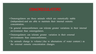 OSMOREGULATION IN VERTEBRATES.pptx | Fish and Aquariums | Pets