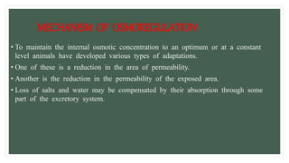OSMOREGULATION IN VERTEBRATES.pptx