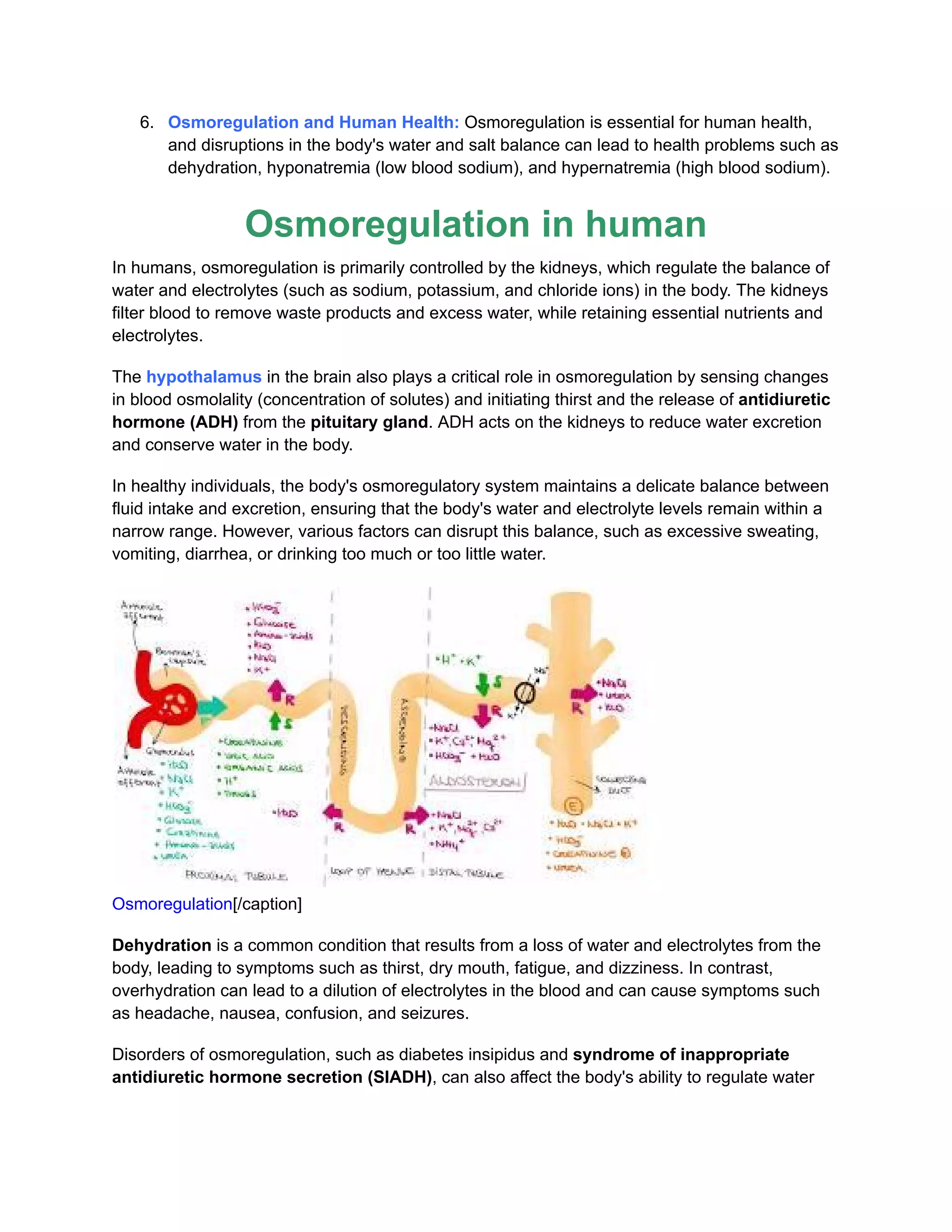 Osmoregulation Mechanisms and Adaptations in Various Organisms.pdf