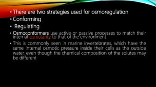Osmoregulation in plants and animals by Sohail | PPTX