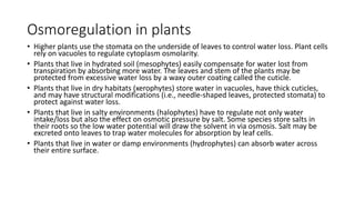 Osmoregulation, and adaptation in plants against abiotic factors plant ...