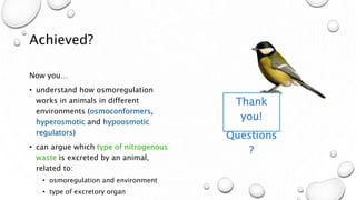 Osmoregulation vertebrates | PPTX