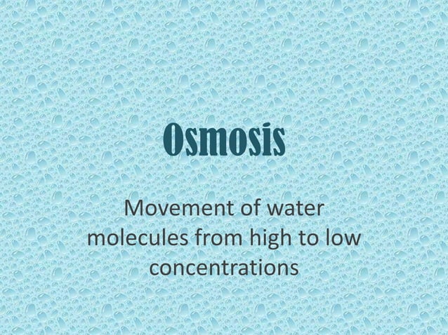 Osmosis | PPTX