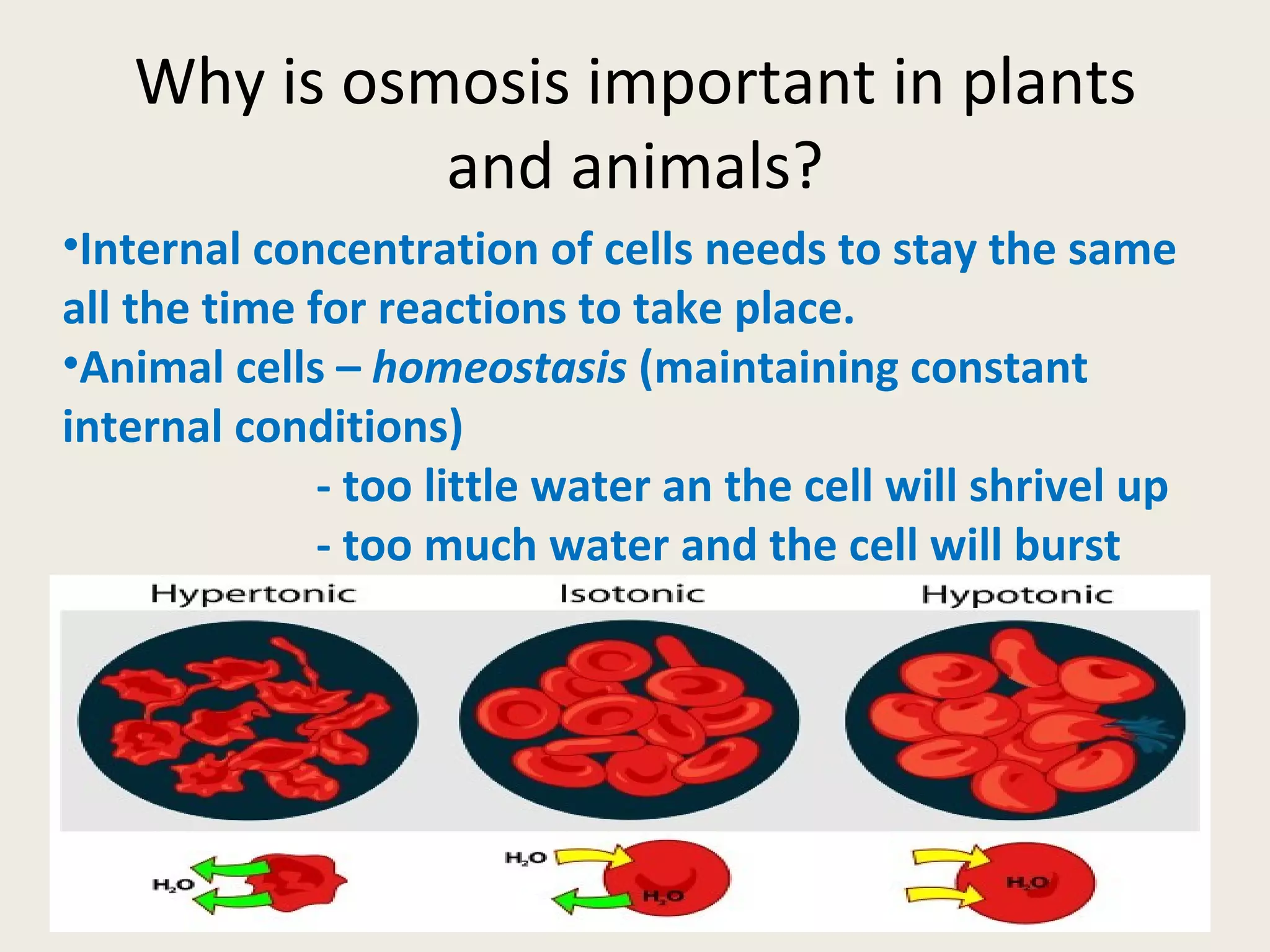 Osmosis 2 | PPT