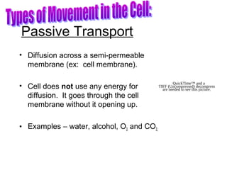 Osmosis | PPT