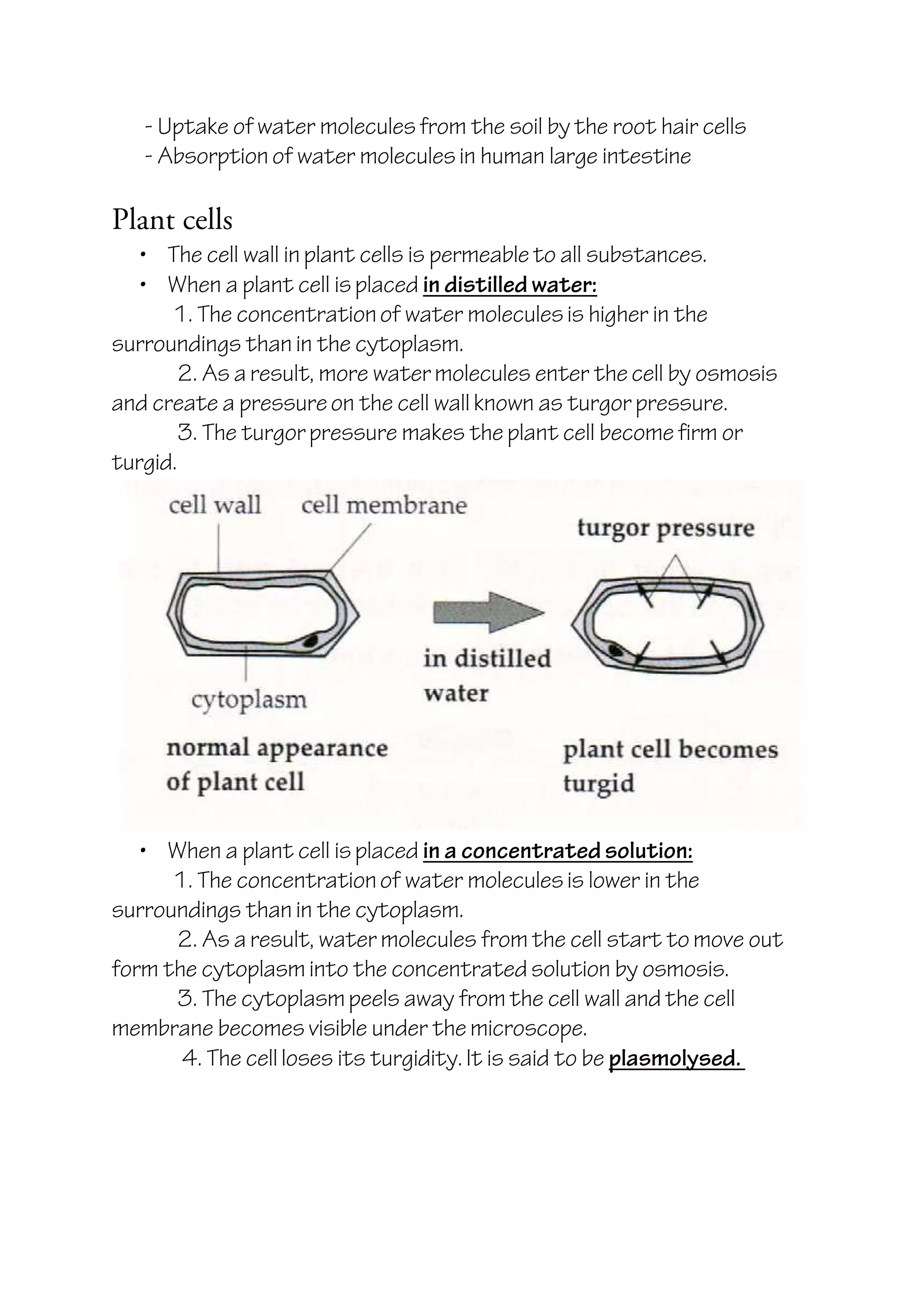 Osmosis | PDF