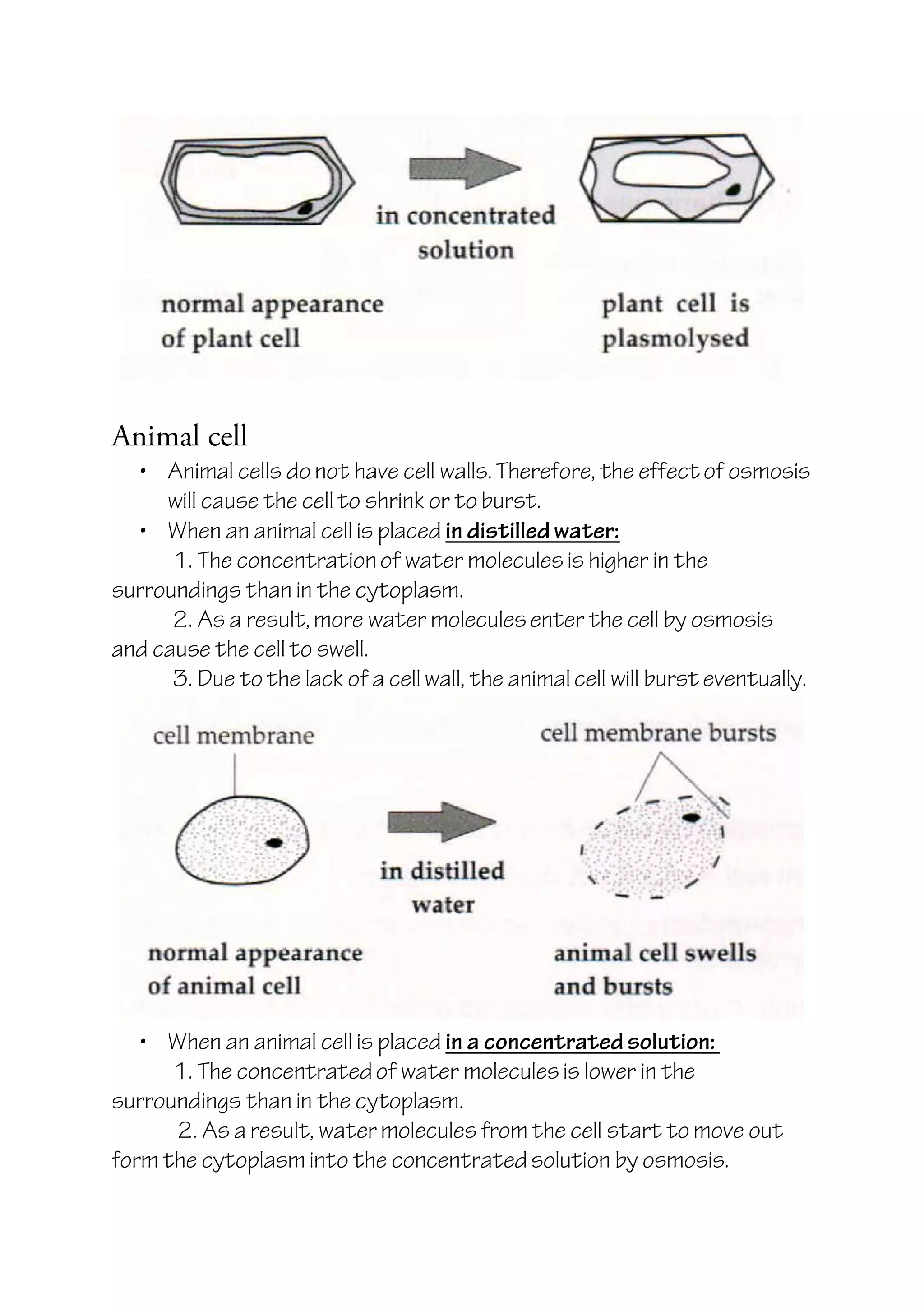 Osmosis | PDF