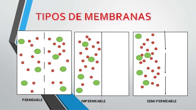 tipos de membranas y osmosis