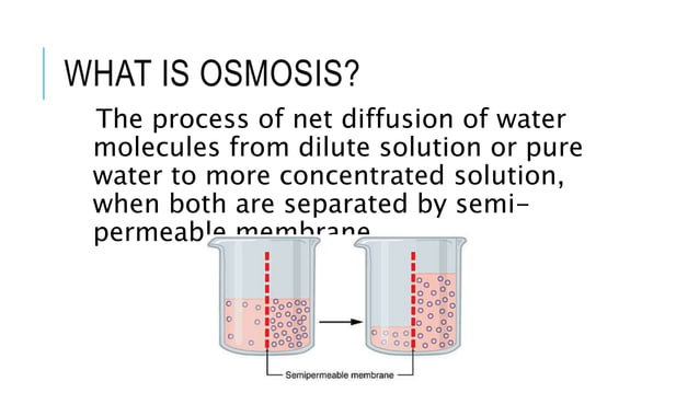 Osmosis and Osmotic Pressure | PPTX | Chemistry | Science