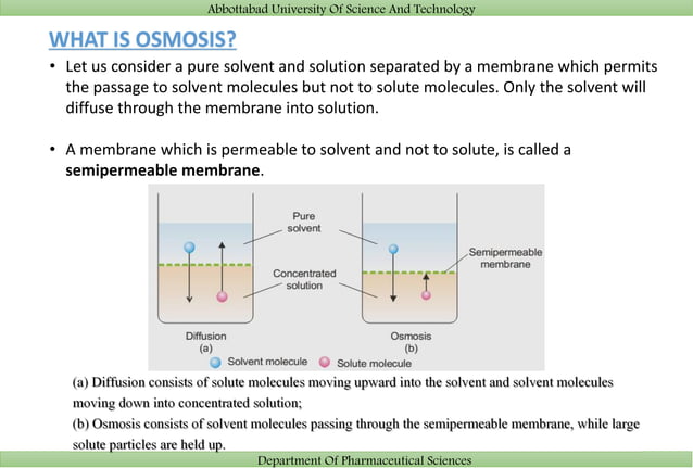 Osmosis, osmotic pressure, laws of osmotic pressure and theories of osmosis presentation lecture ...