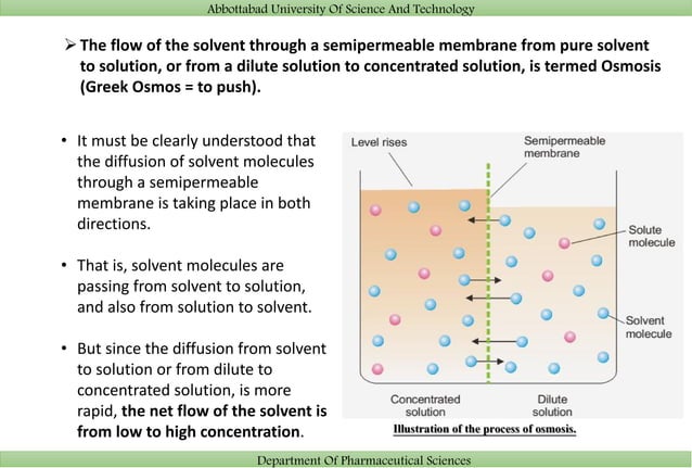Osmosis, osmotic pressure, laws of osmotic pressure and theories of osmosis presentation lecture ...