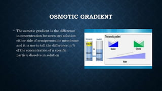 Osmosis | PPT