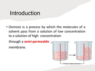 osmosis transport - Rasol Sindy | PPT