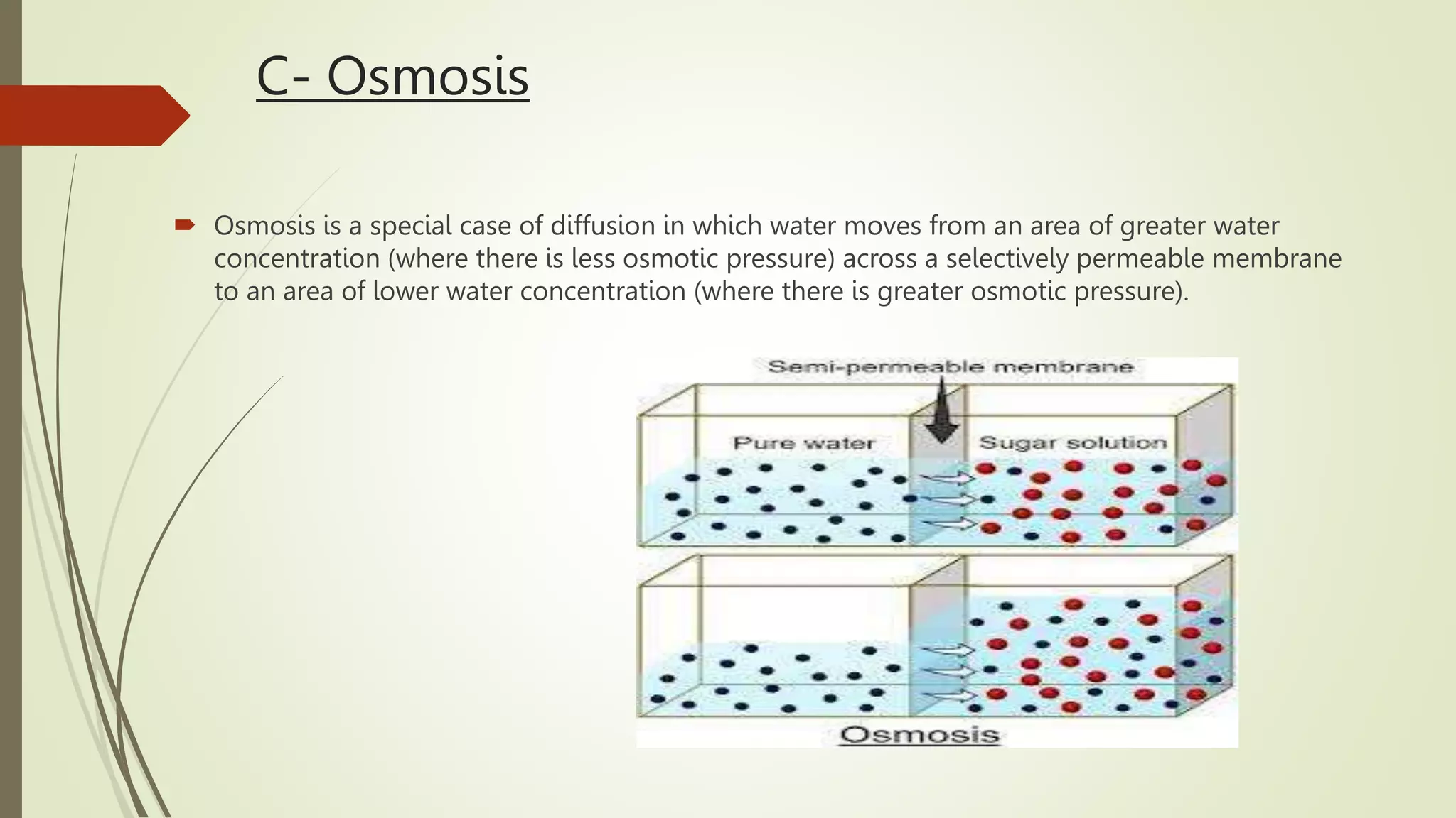 Osmosis.pptx