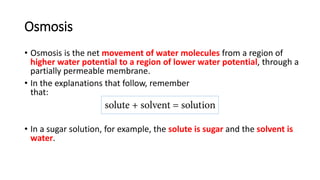 Osmosis.pptx