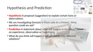 Osmosis-AQA-Practical-with-Method Presentation | PPTX
