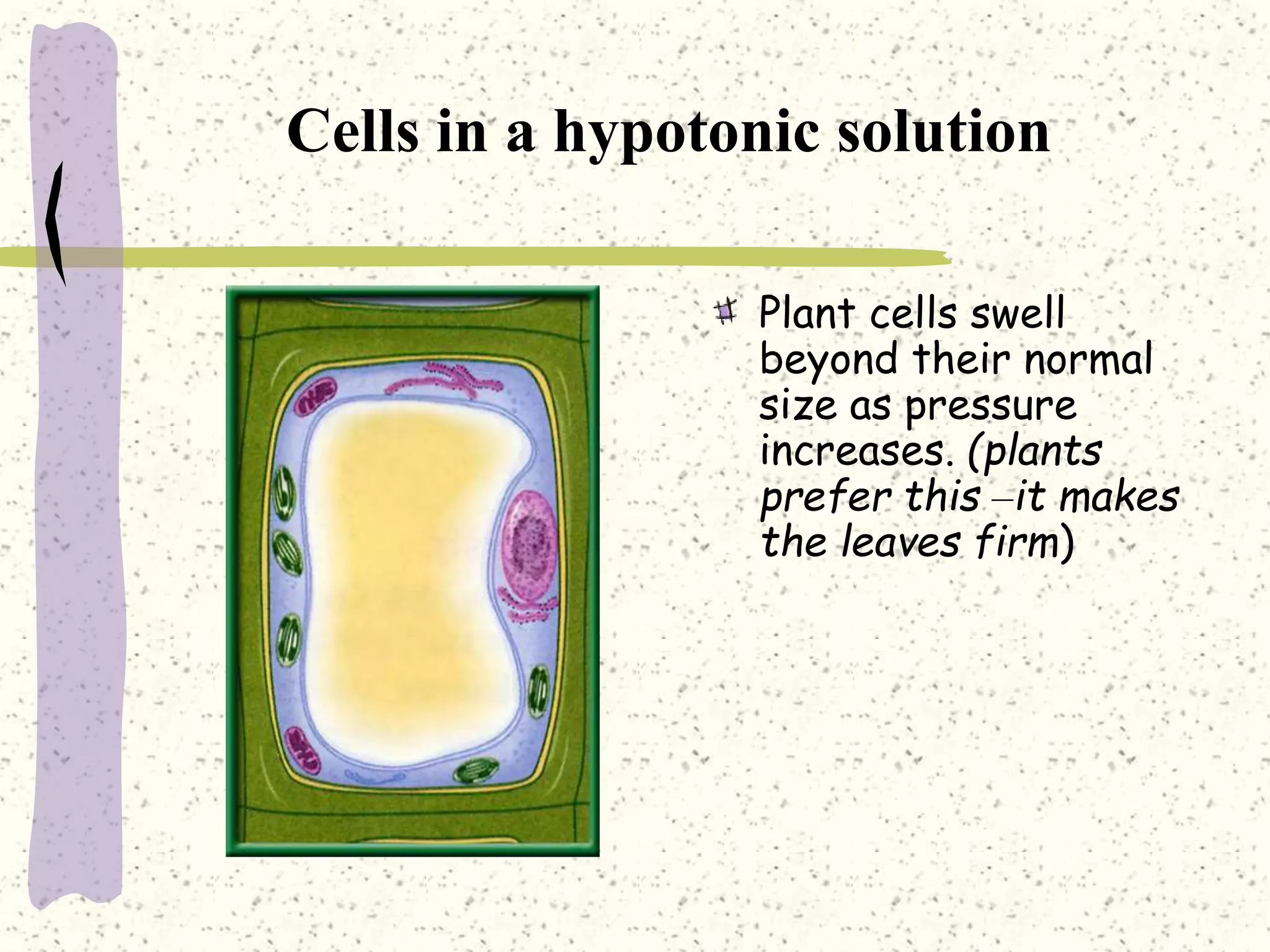 Osmosis-diffusion-Active_Transport.ppt