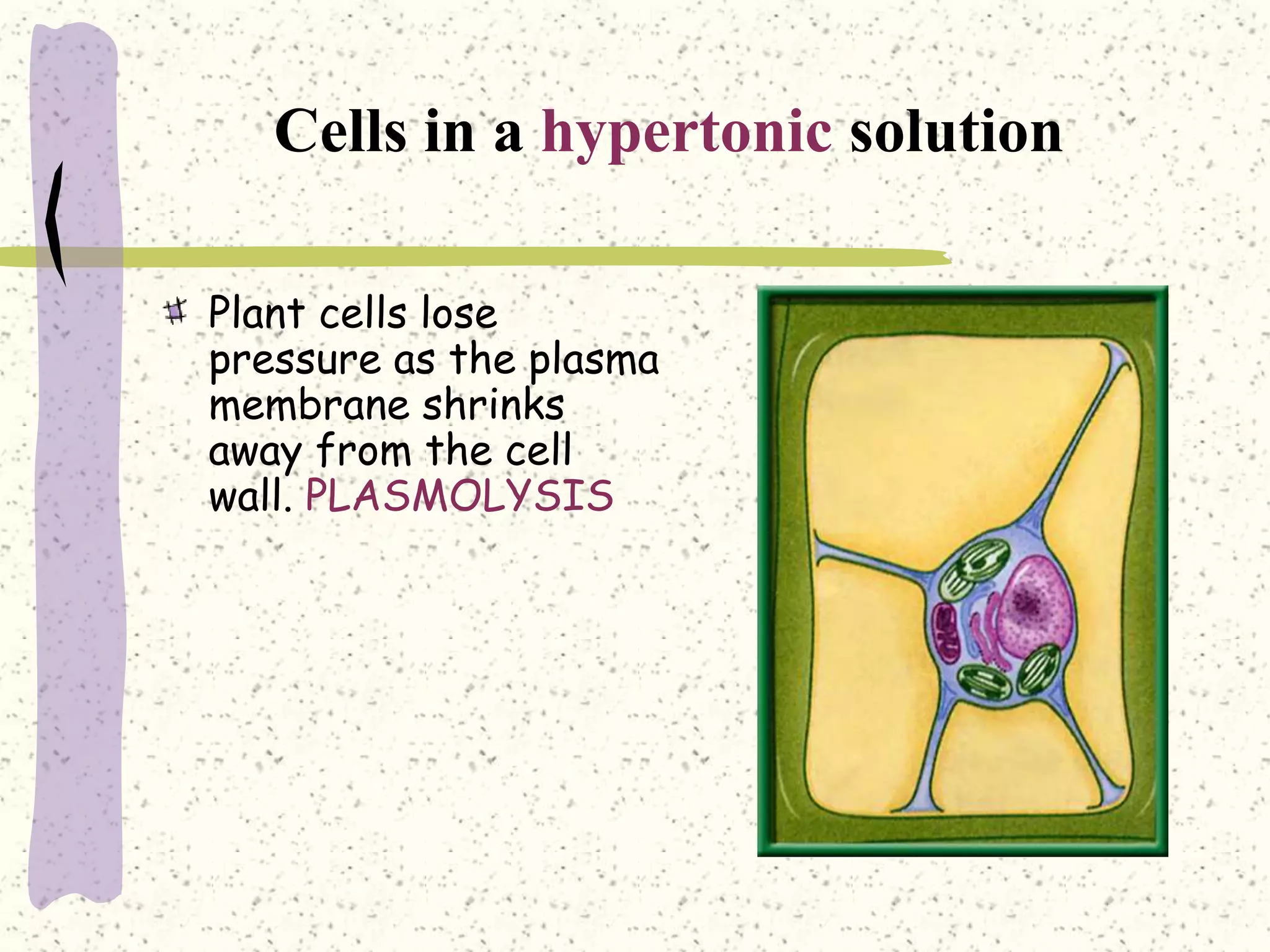 Osmosis-diffusion-Active_Transport.ppt