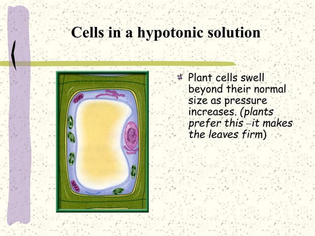 Osmosis-diffusion-Active_Transport.ppt