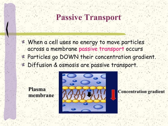Osmosis-diffusion-Active_Transport.ppt | Free Download