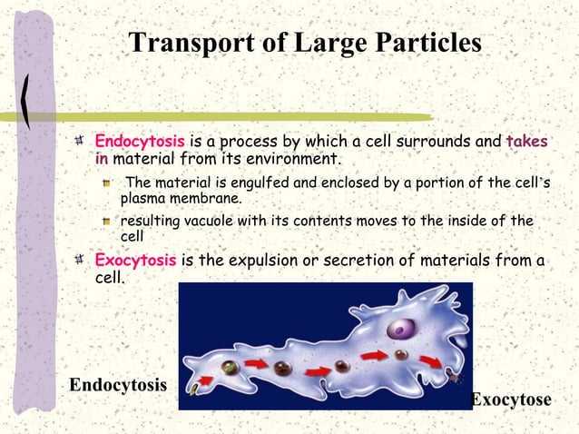 Osmosis-diffusion-Active_Transport.ppt