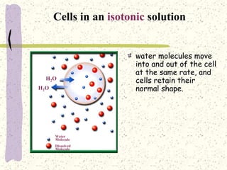 Osmosis-diffusion-Active_Transport.ppt