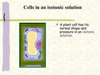 Osmosis-diffusion-Active_Transport.ppt