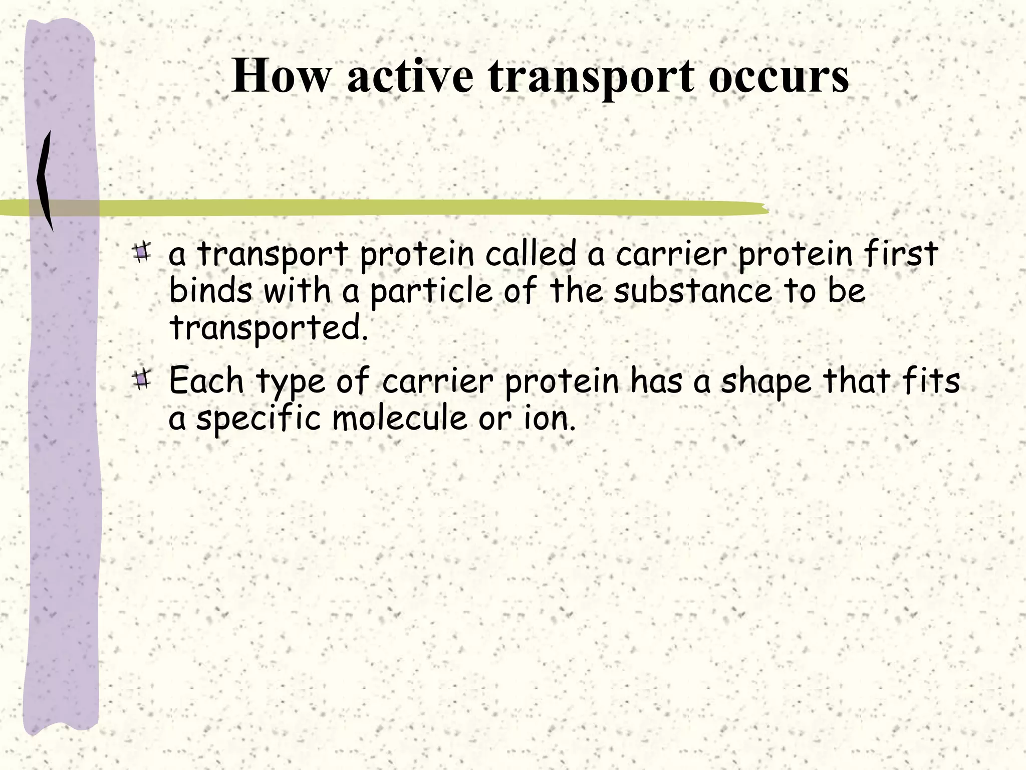 Osmosis-diffusion-Active_Transport.ppt