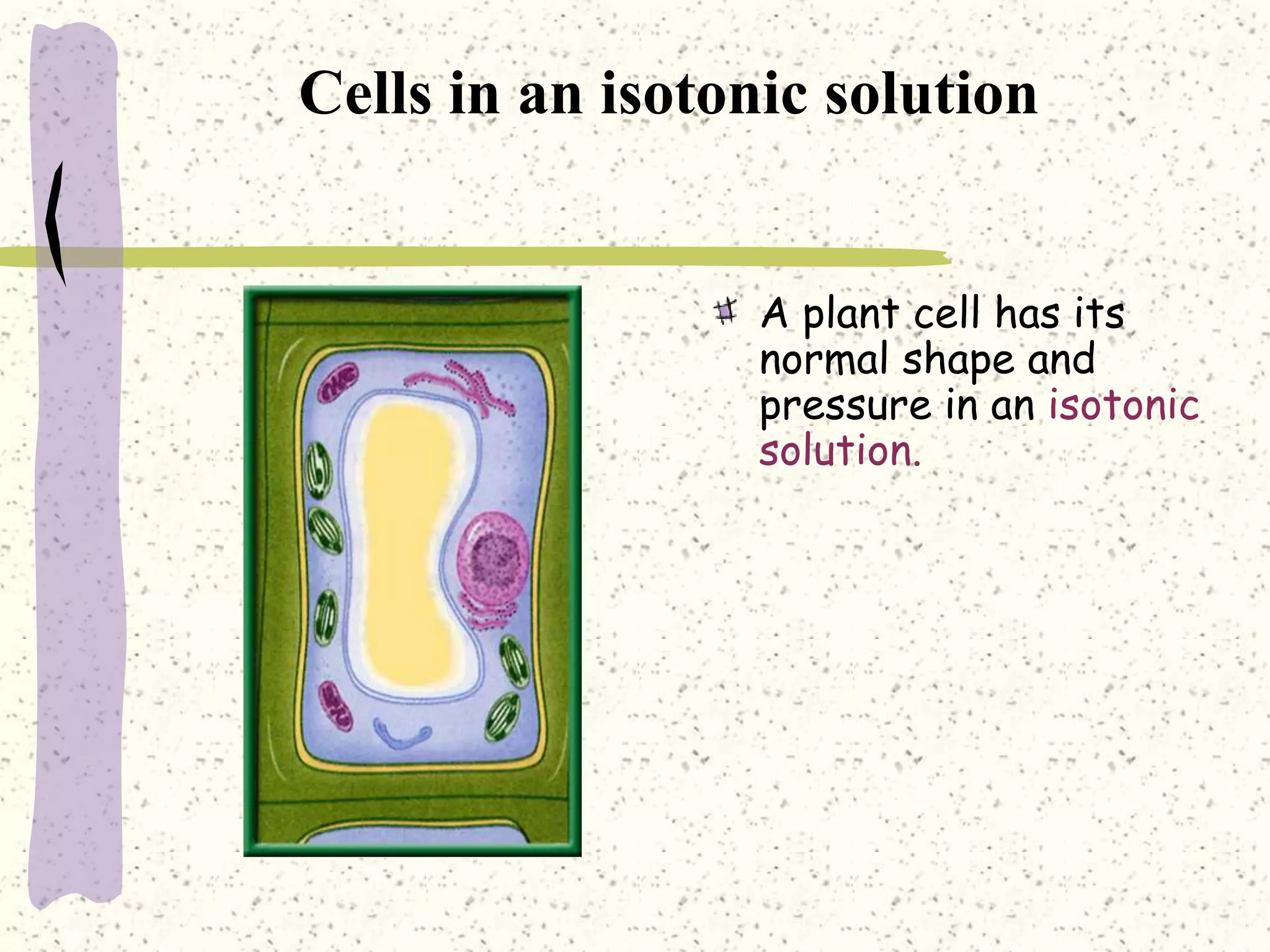 Osmosis-diffusion-Active_Transport.ppt