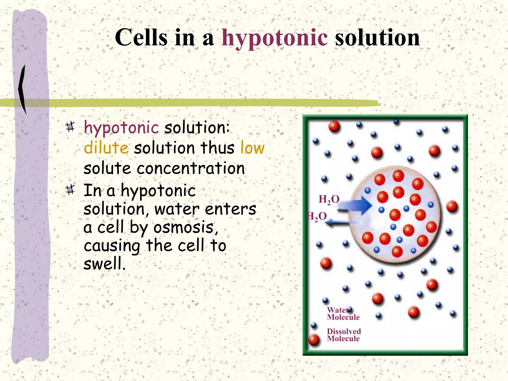 Osmosis-diffusion-Active_Transport.ppt