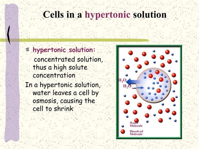 Osmosis-diffusion-Active_Transport.ppt