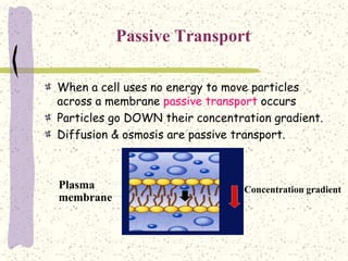 Osmosis-diffusion-Active_Transport.ppt