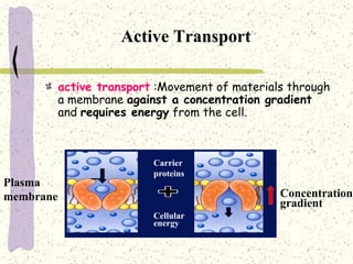 Osmosis-diffusion-Active_Transport.ppt