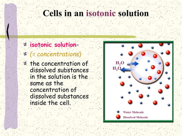 Osmosis-diffusion-Active_Transport.ppt