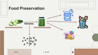 Osmosis-Presentation-in-Chemistry-2.pptx