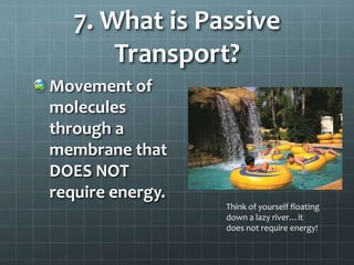 Osmosis and diffusion | PPTX
