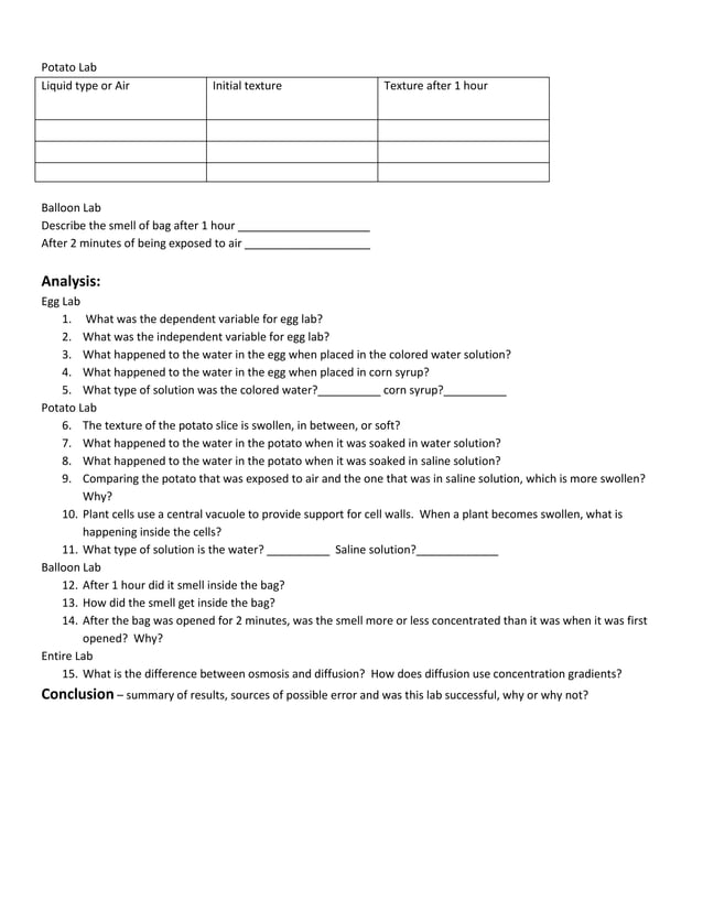 Osmosis and diffusion lab | PDF