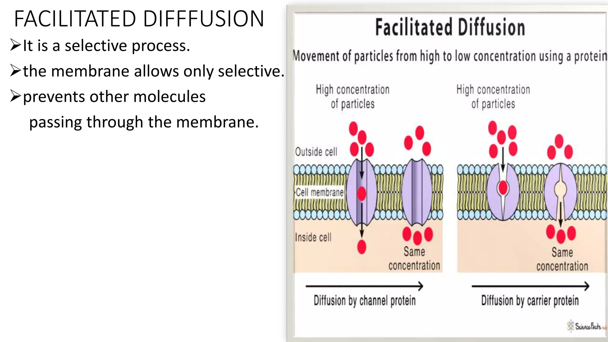 Osmosis and Transport across the membrane.pptx