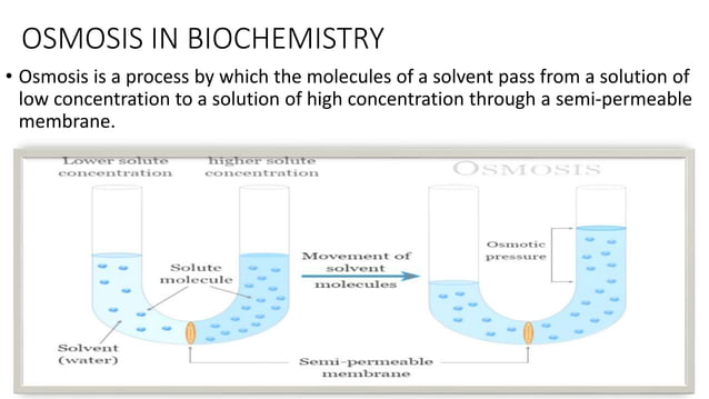 Osmosis and Transport across the membrane.pptx