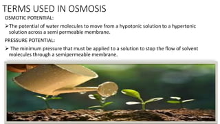 Osmosis and Transport across the membrane.pptx