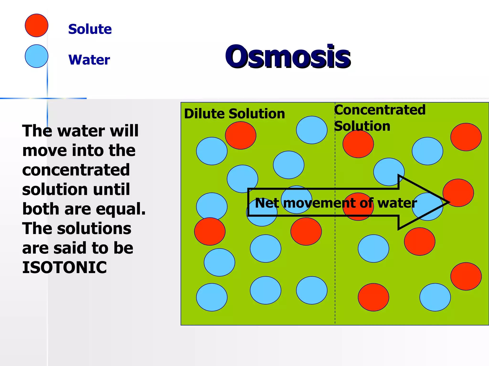 Osmosis – A Special Type Of Diffusion | PPT