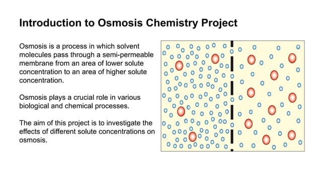 Osmosis Chemistry Project.pdf