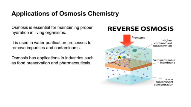 Osmosis Chemistry Project.pdf