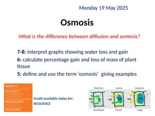Osmosis cover.pptx. This is a powerpoint | PPTX