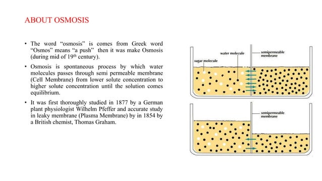 Osmosis | PPTX | Biological Sciences | Science