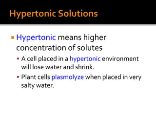 Osmosis Diffusion | PPTX