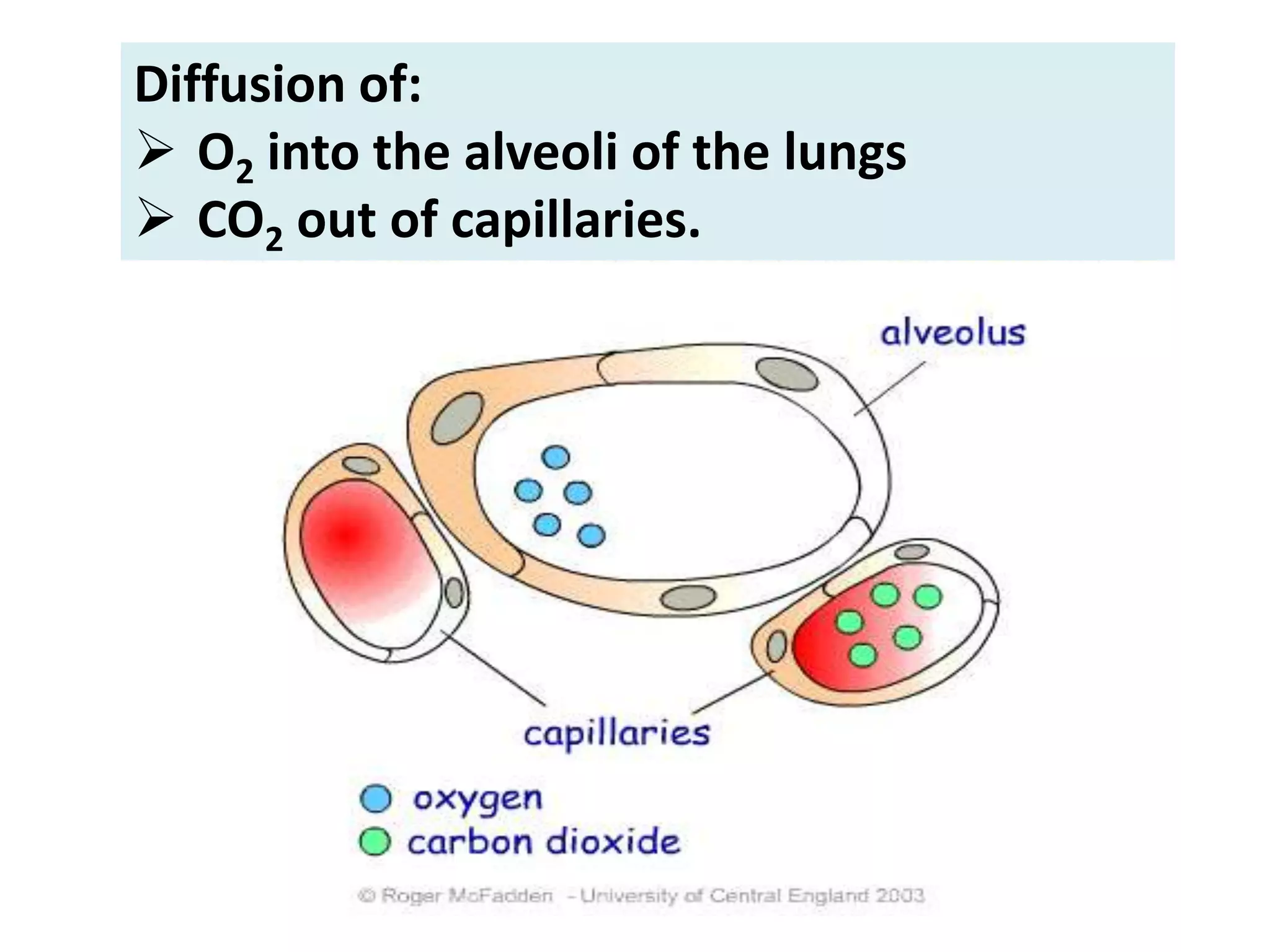 Osmosis, diffusion, active transport | PPTX
