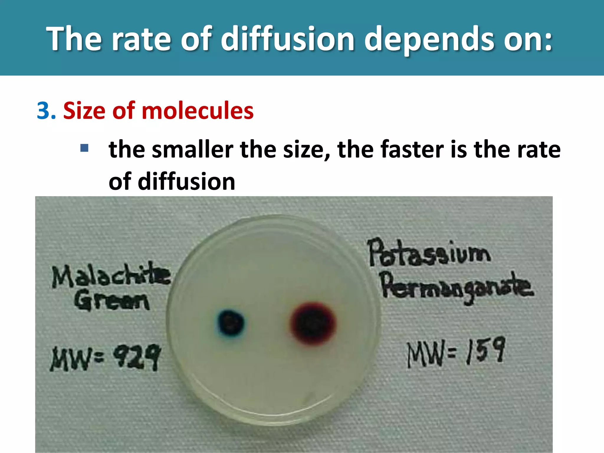 Osmosis, diffusion, active transport | PPTX